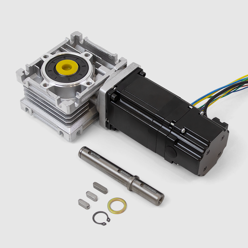 24v 130w 0.41N.m 3000RPM worm gear BLDC motor with brake | BLDC Motors